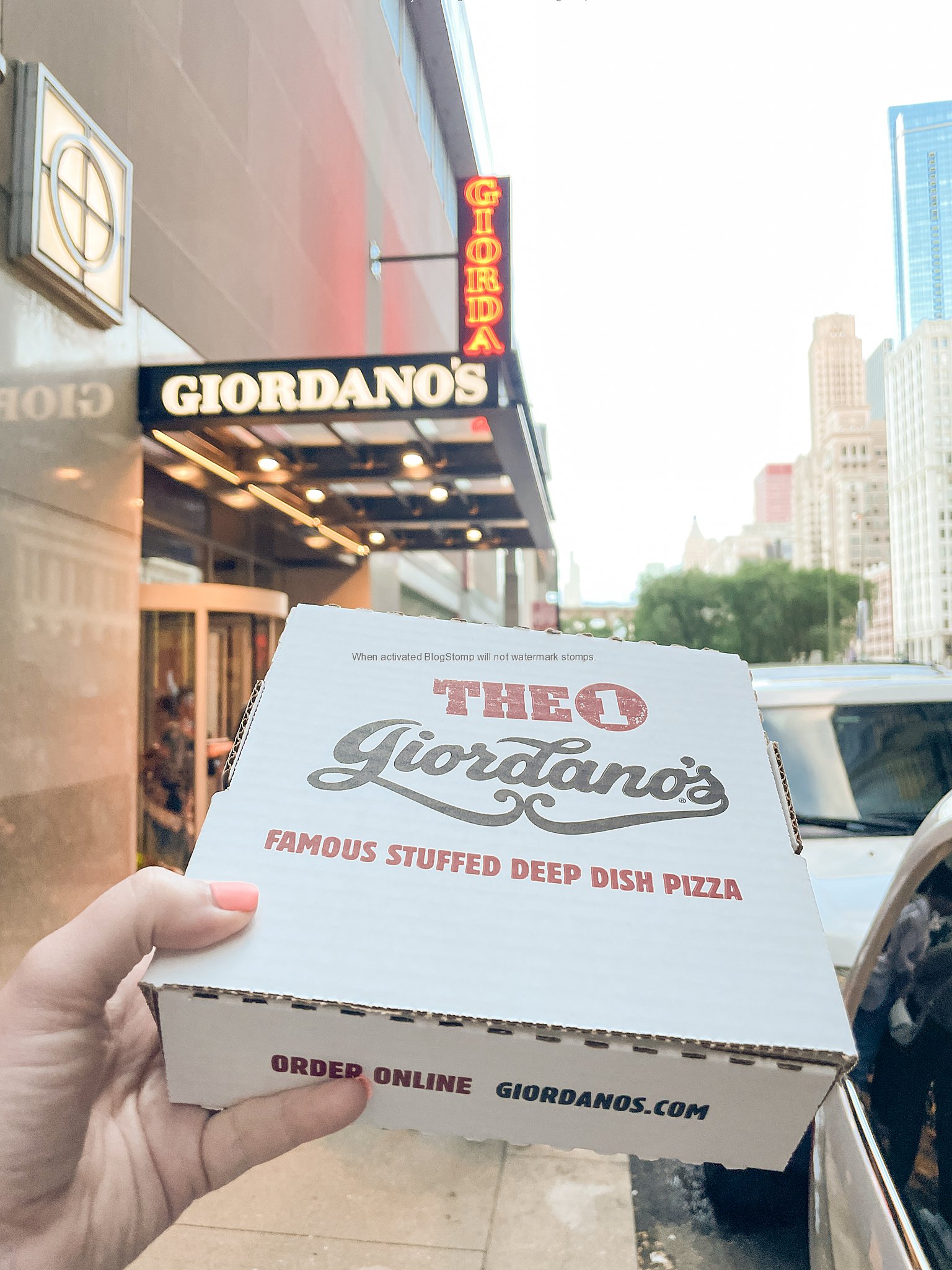 How to See Chicago in a Weekend – The Hurried Hostess