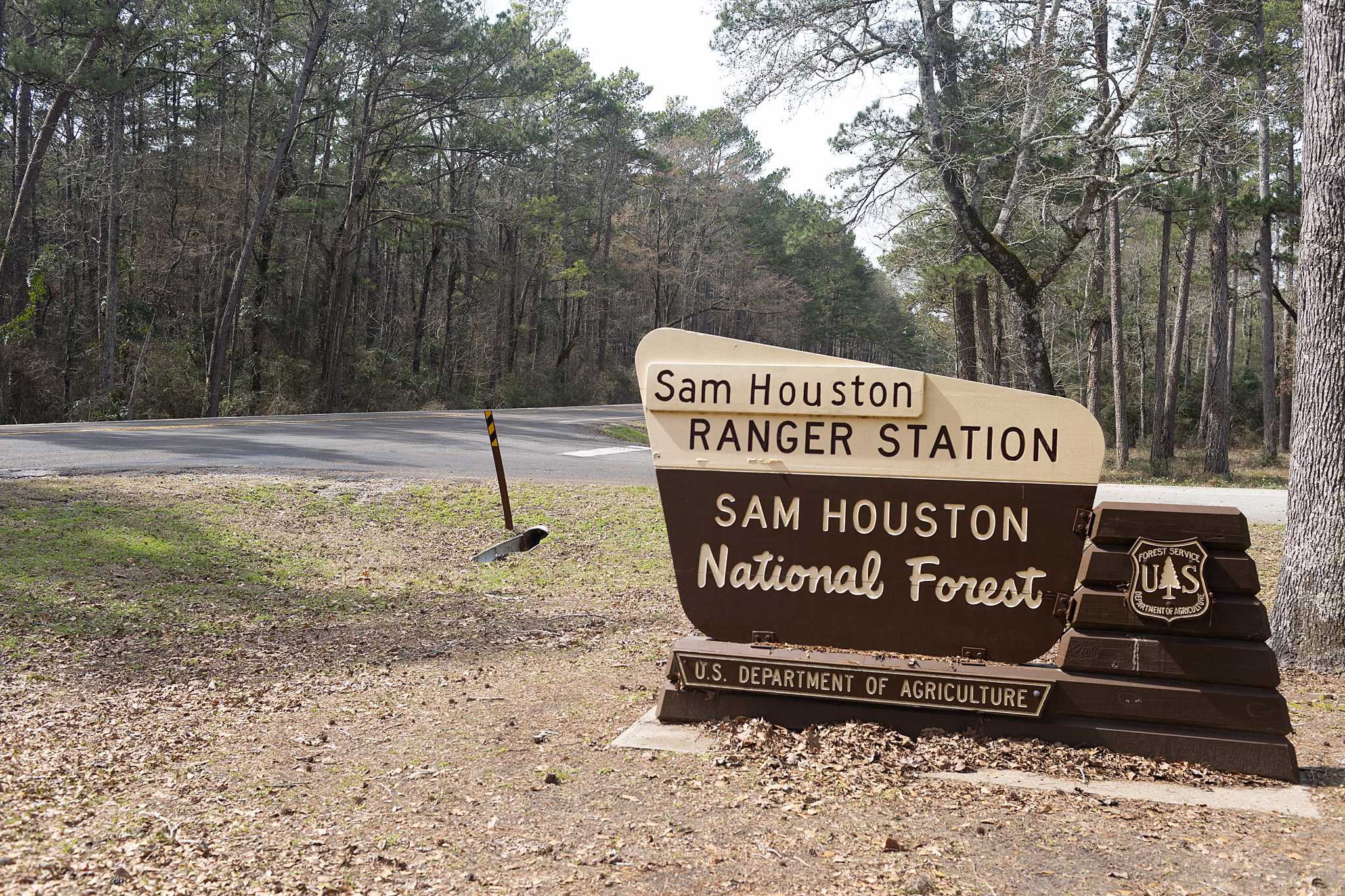 Sam Houston National Forest | Huntsville State Park – The Hurried Hostess